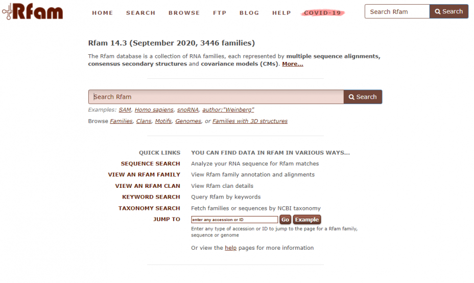 Rna Structure And Function Prediction Krooartcom